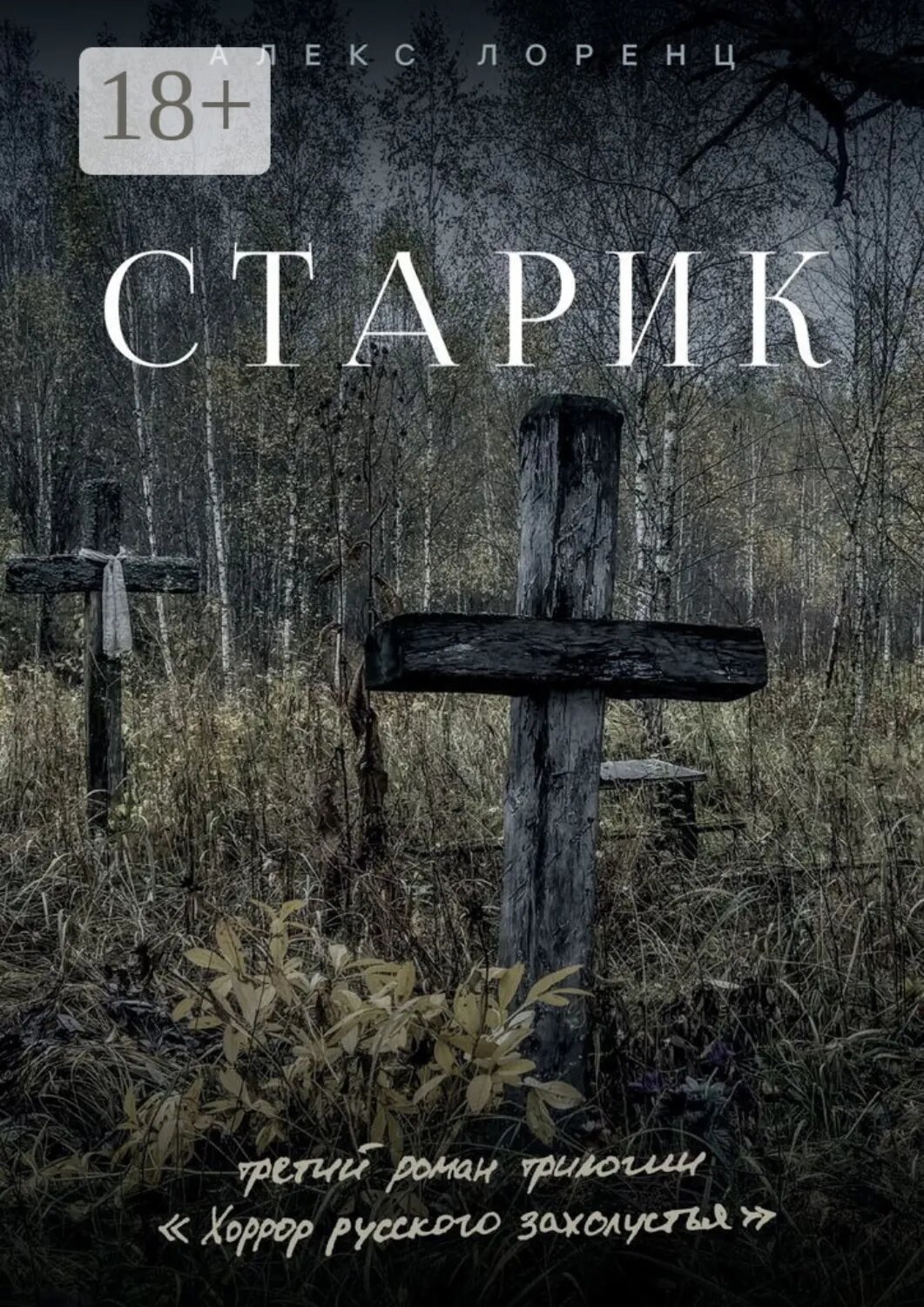 Старик [Цифровая книга]