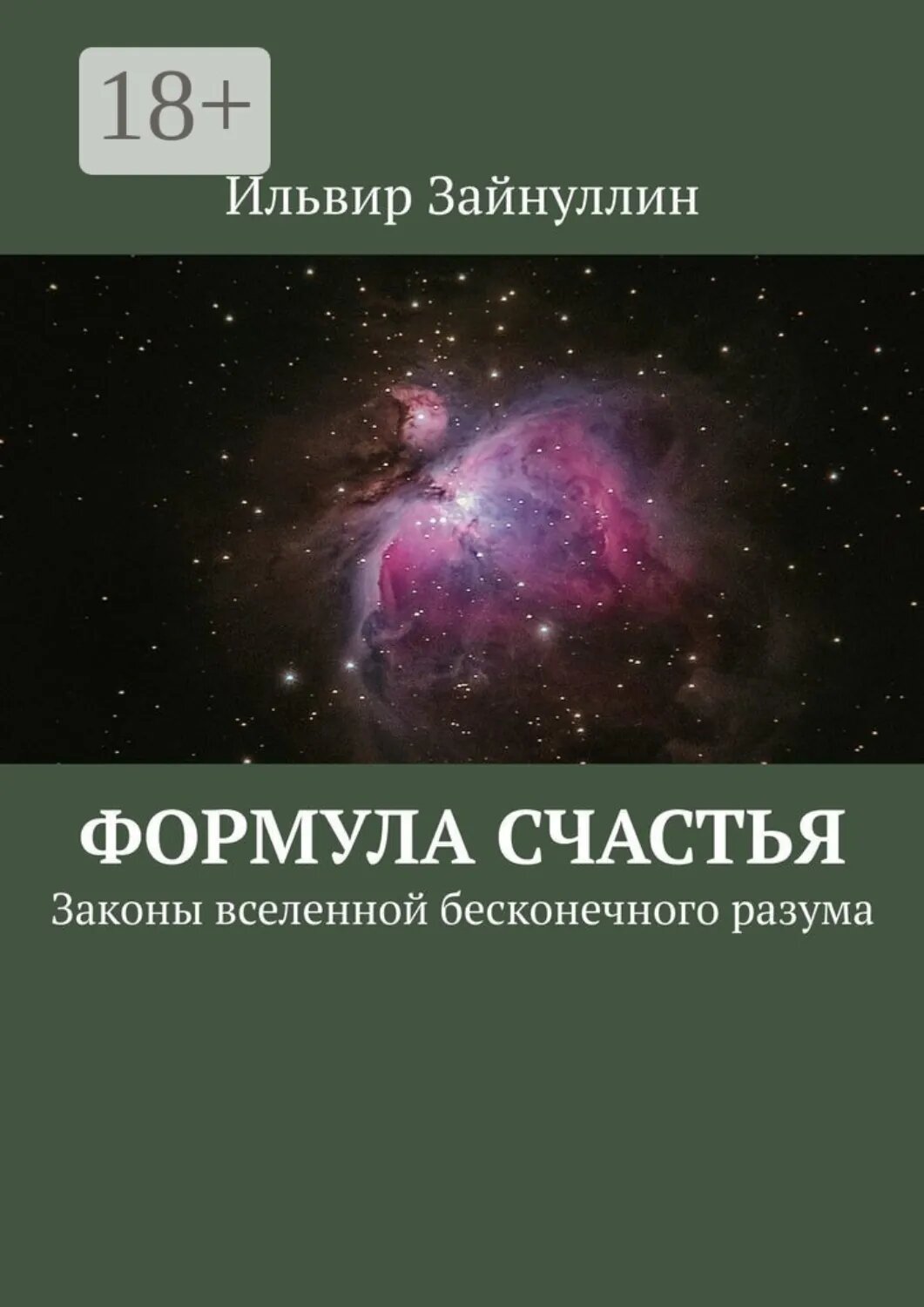 Формула счастья. Законы вселенной бесконечного разума [Цифровая книга]