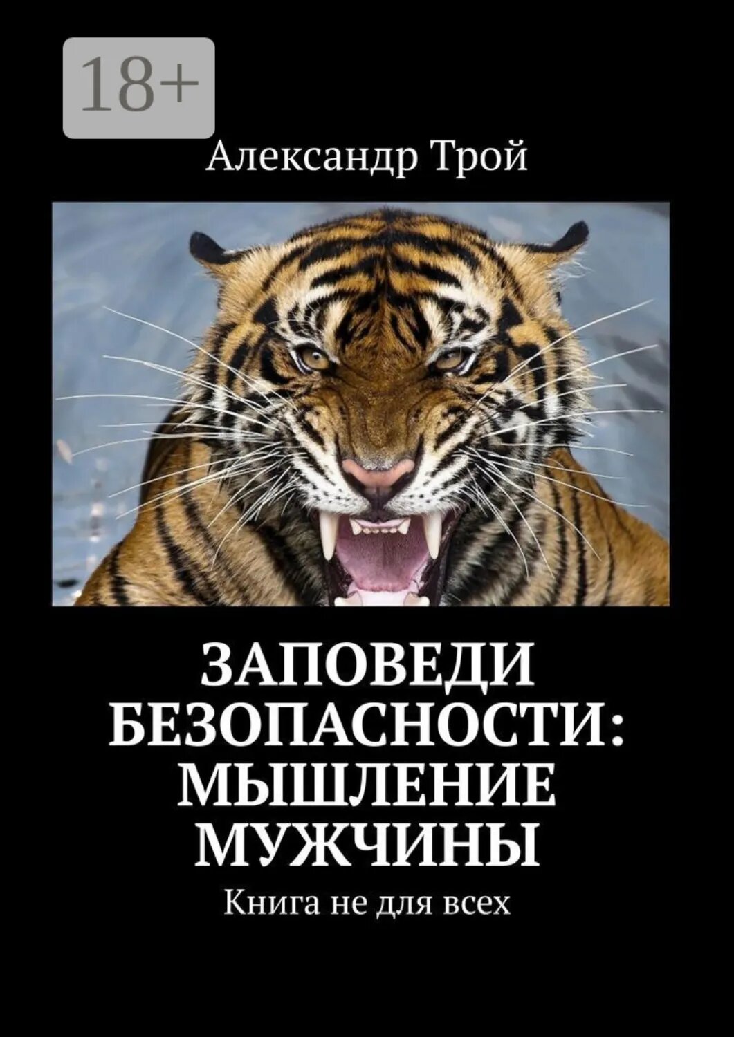 Заповеди безопасности: мышление мужчины. Книга не для всех [Цифровая книга]