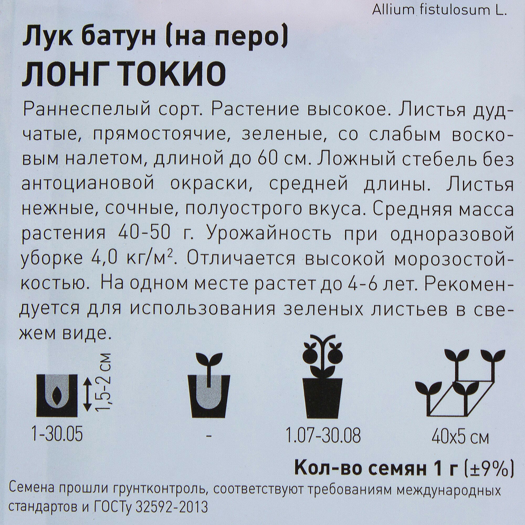 Семена Лук-батун «Лонг Токио», для дачи, сада, огорода и на рассаду — фото 1