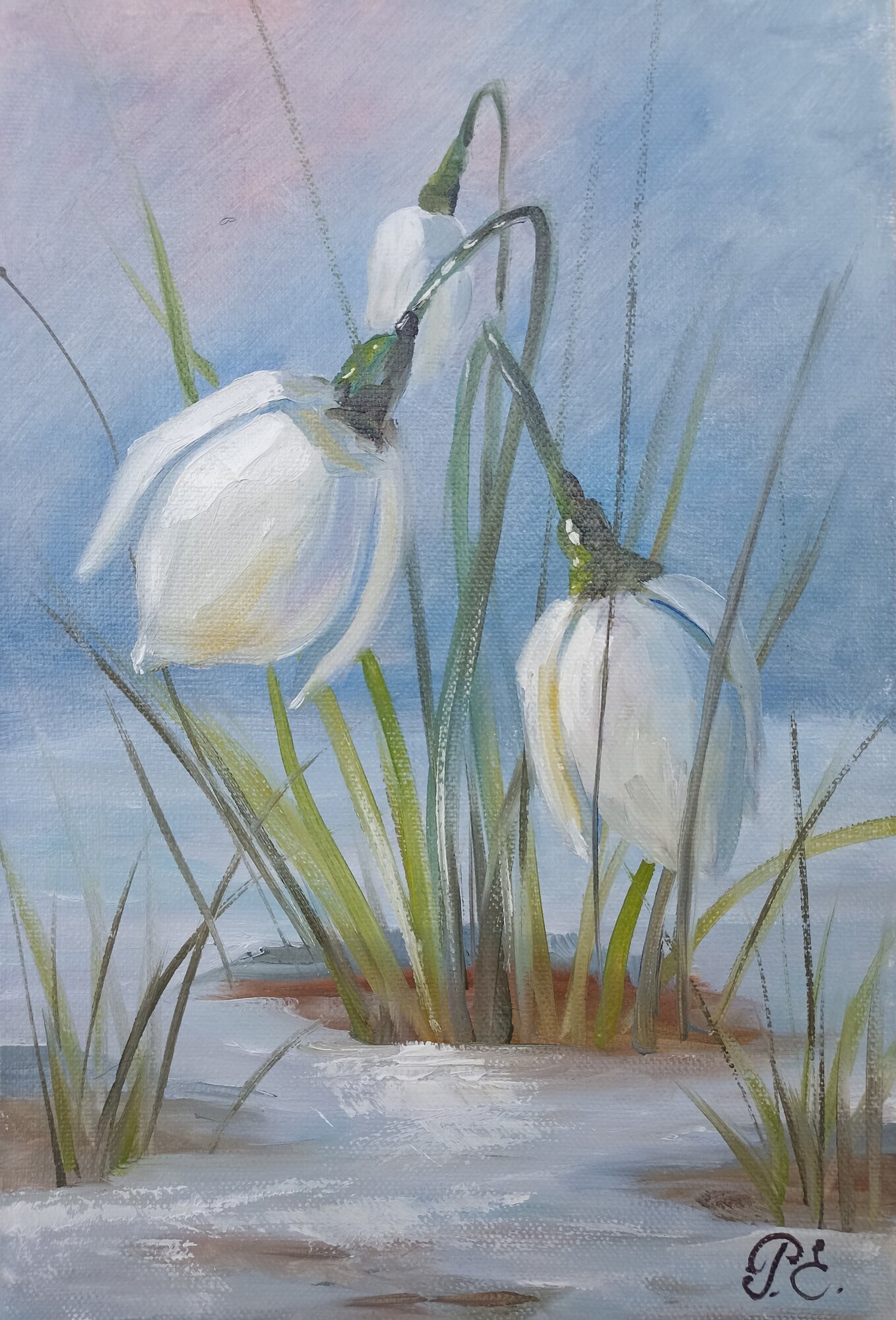 Картина масло/холст. 100% ручная работа, 100% живопись от Художественной мастерской Грёзы. Картина из серии "Цветы". Подснежники. Размер картины 20х30 см.