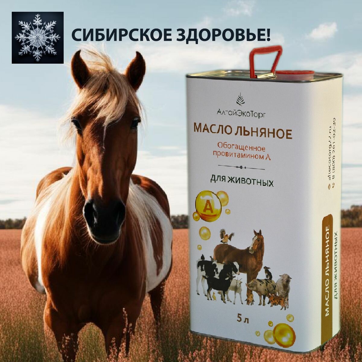 Масло льняное для животных, обогащенное провитамином А (5 литров)