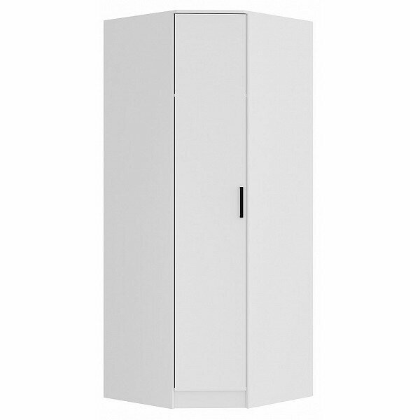 Шкаф платяной BTS Фьюжн ШКУ-04