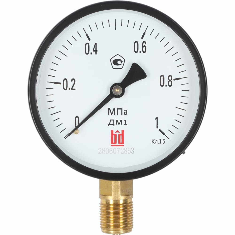 Манометр BD ДМ 1 Т2 100 Р