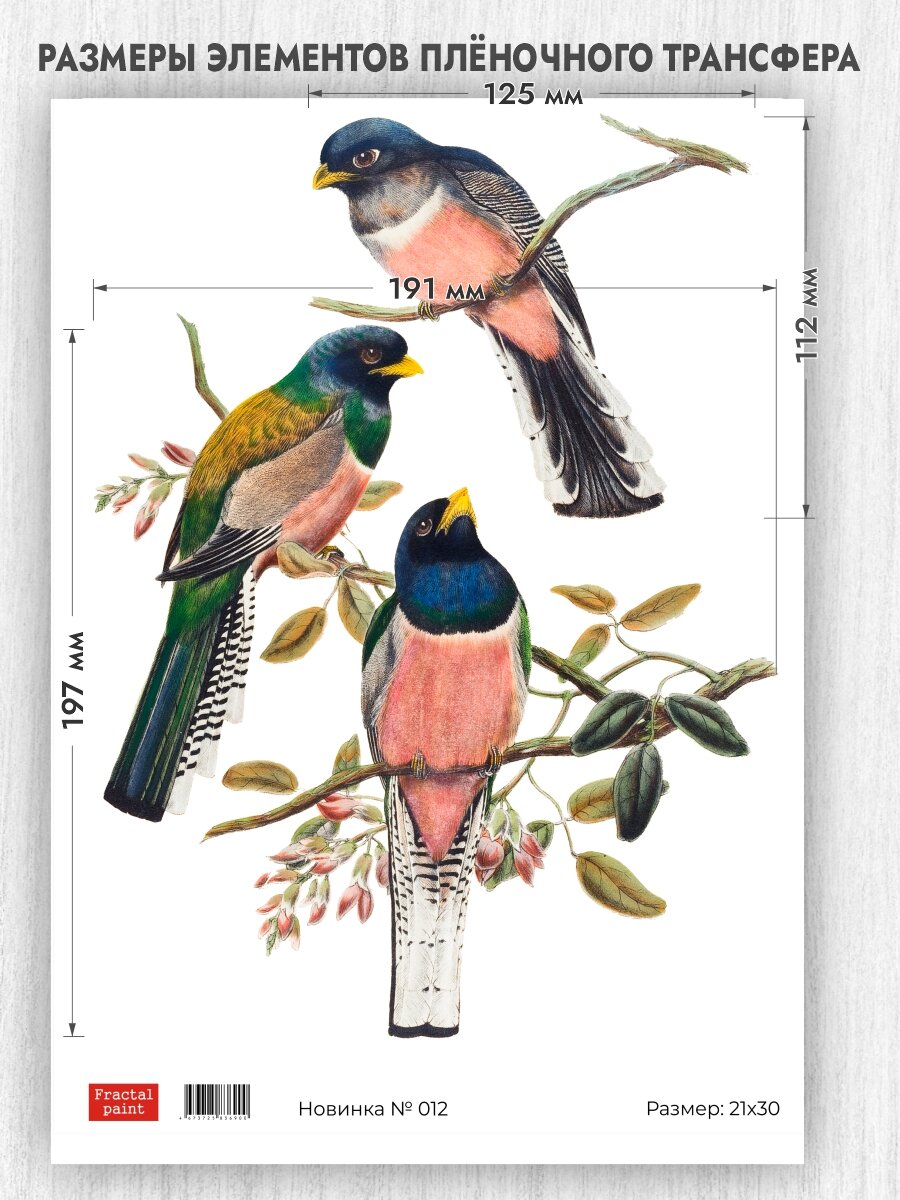 Трансфер для декупажа переводной рисунок для поверхностей новинка 012 А4