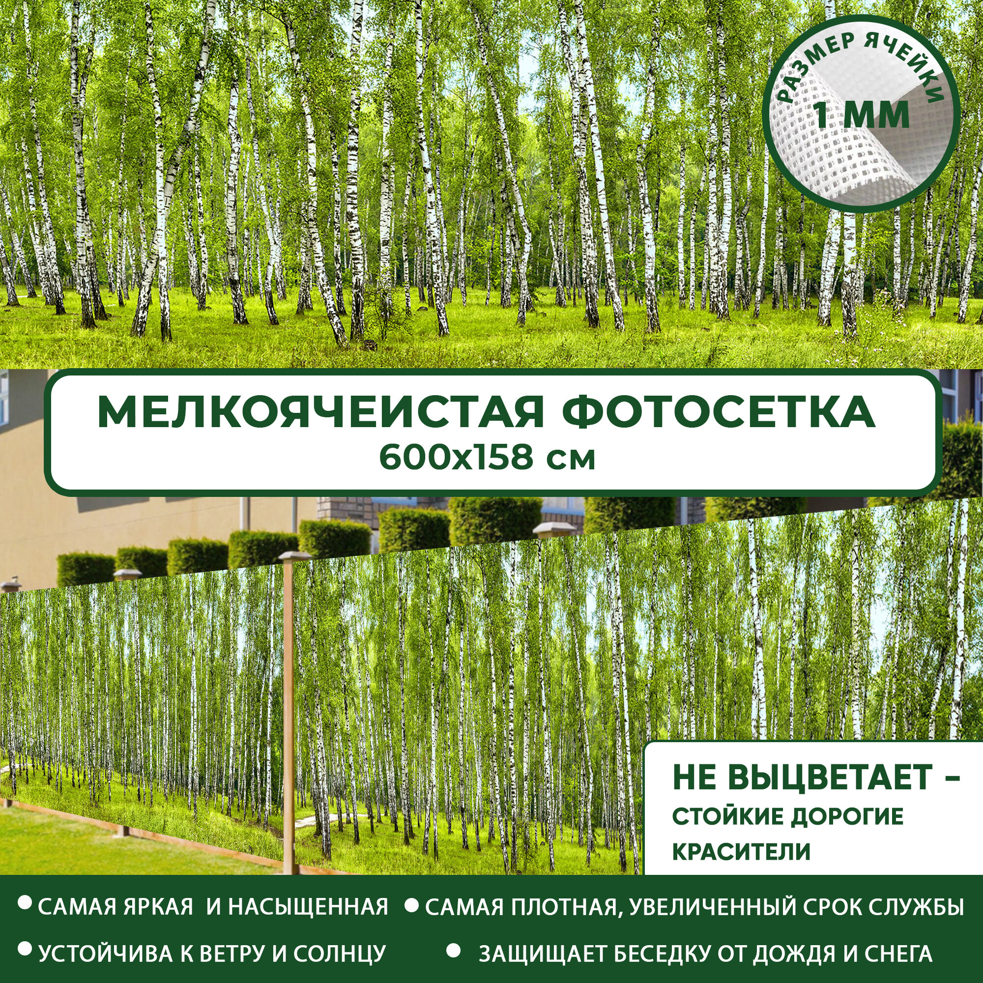 Фотосетка Мечта для забора беседки террасы 600x158 см, "Березовая роща" , фотофасад для дома дачи сада