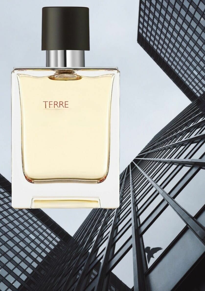 Туалетная вода EVERY THING FOR ME "D'Hermes", 30 мл, древесно-пряные ноты