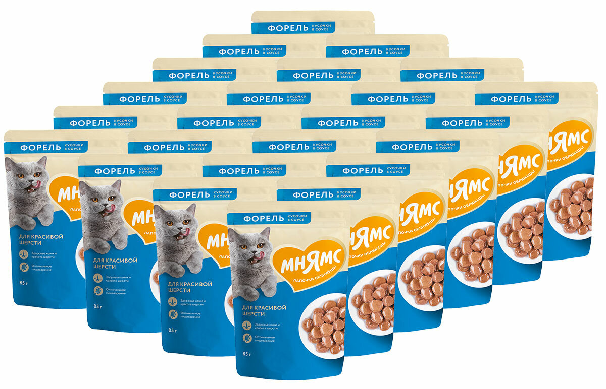 Влажный корм Мнямс для взрослых кошек для красивой шерсти с форелью в соусе пауч, 85 гр х 24 шт