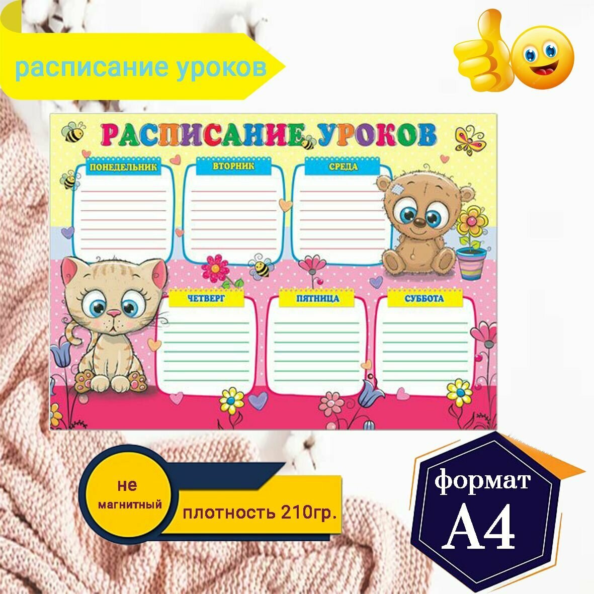 Расписание уроков "Занесенные"