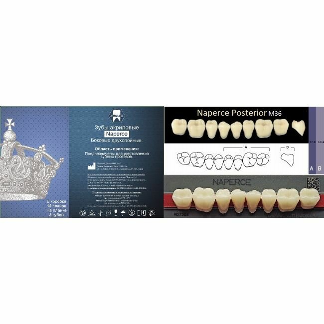 Зубы акриловые, вариант исполнения: Naperce двухслойные Posterior (боковые нижние) фасон M36, цвет B2, 8 шт. на планке.