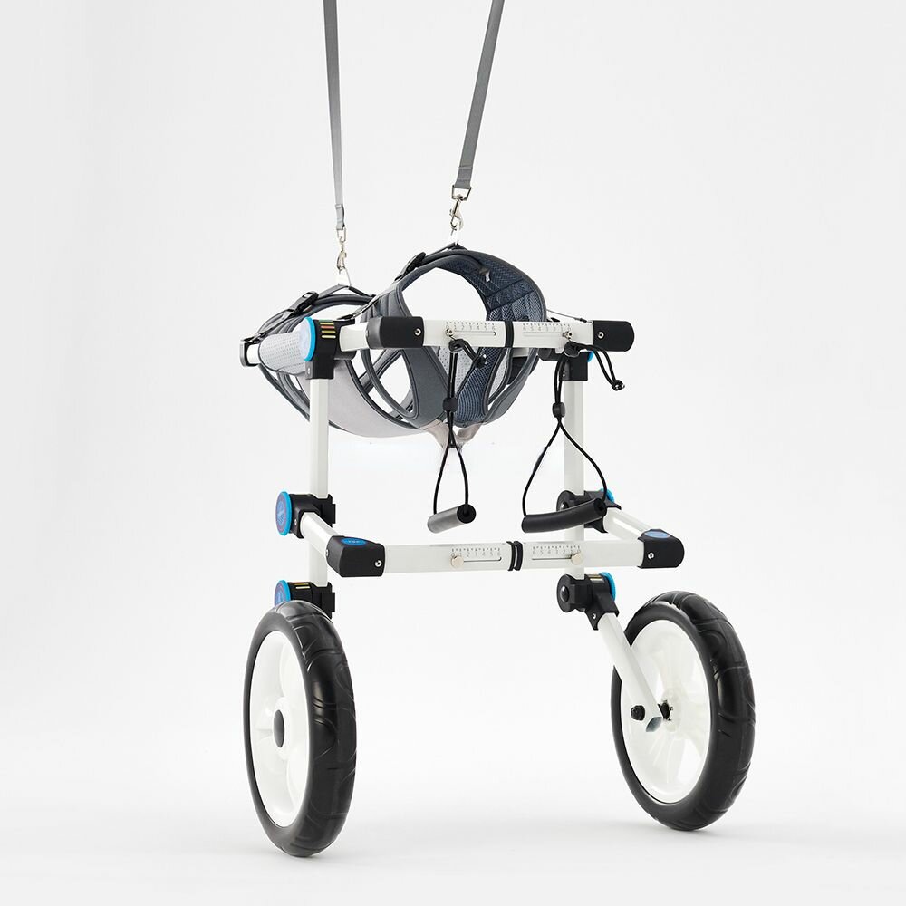 Модные задние конечности собачьи инвалидные коляски, подходящие для восстановления парализованных задних конечностей собак и кошек L, XL