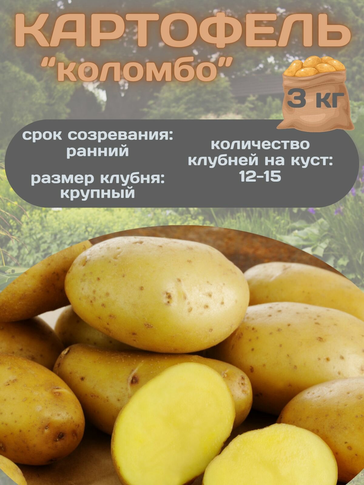 Картофель семенной Коломбо 3 кг, на посадку