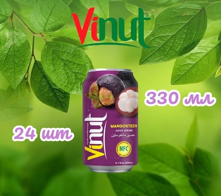 Напиток сокосодержащий Винут Vinut Мангустин Mangosteen, 330 мл 24 шт