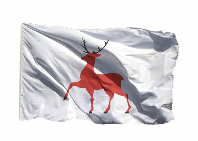 Флаг Нижнего Новгорода на шёлке, 70х105 см для ручного древка