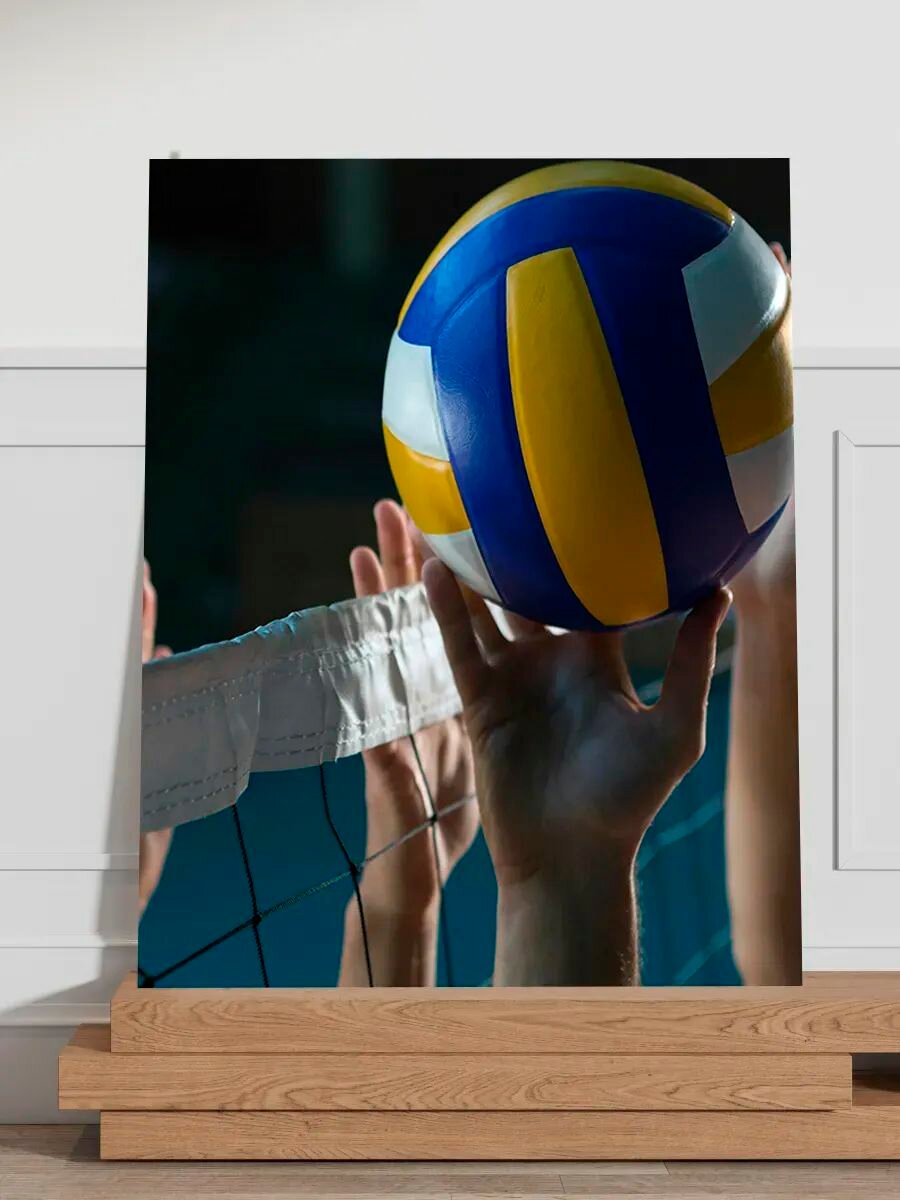 Картина "Волейбол", модульная 30х40см 1шт.
