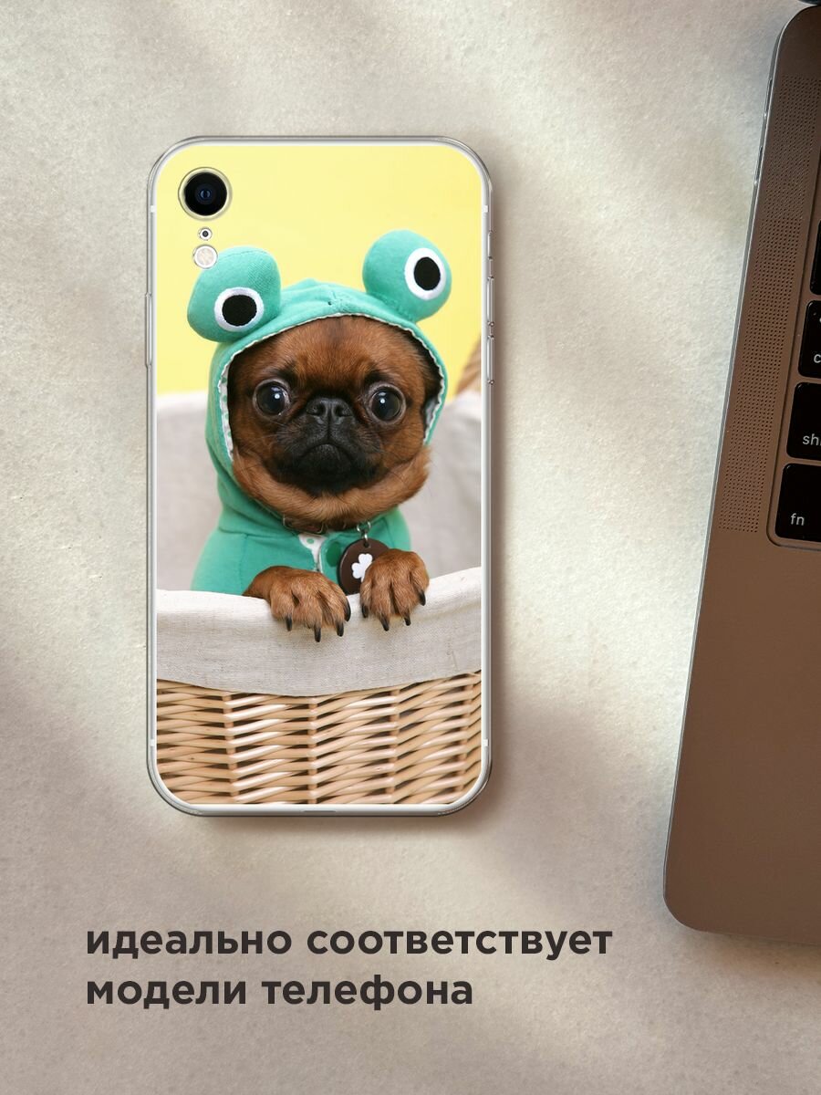 Чехол на Apple iPhone XR / Айфон XR с принтом "Собачка в шапке лягушки" — фото 1