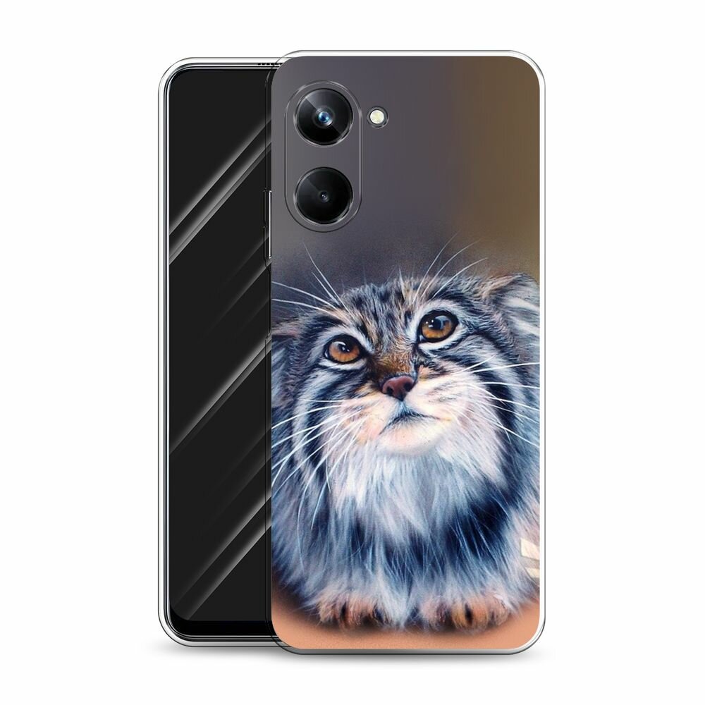 Чехол на Realme 10 Pro / Реалми 10 Про с принтом "Кот манул 2" — фото 1