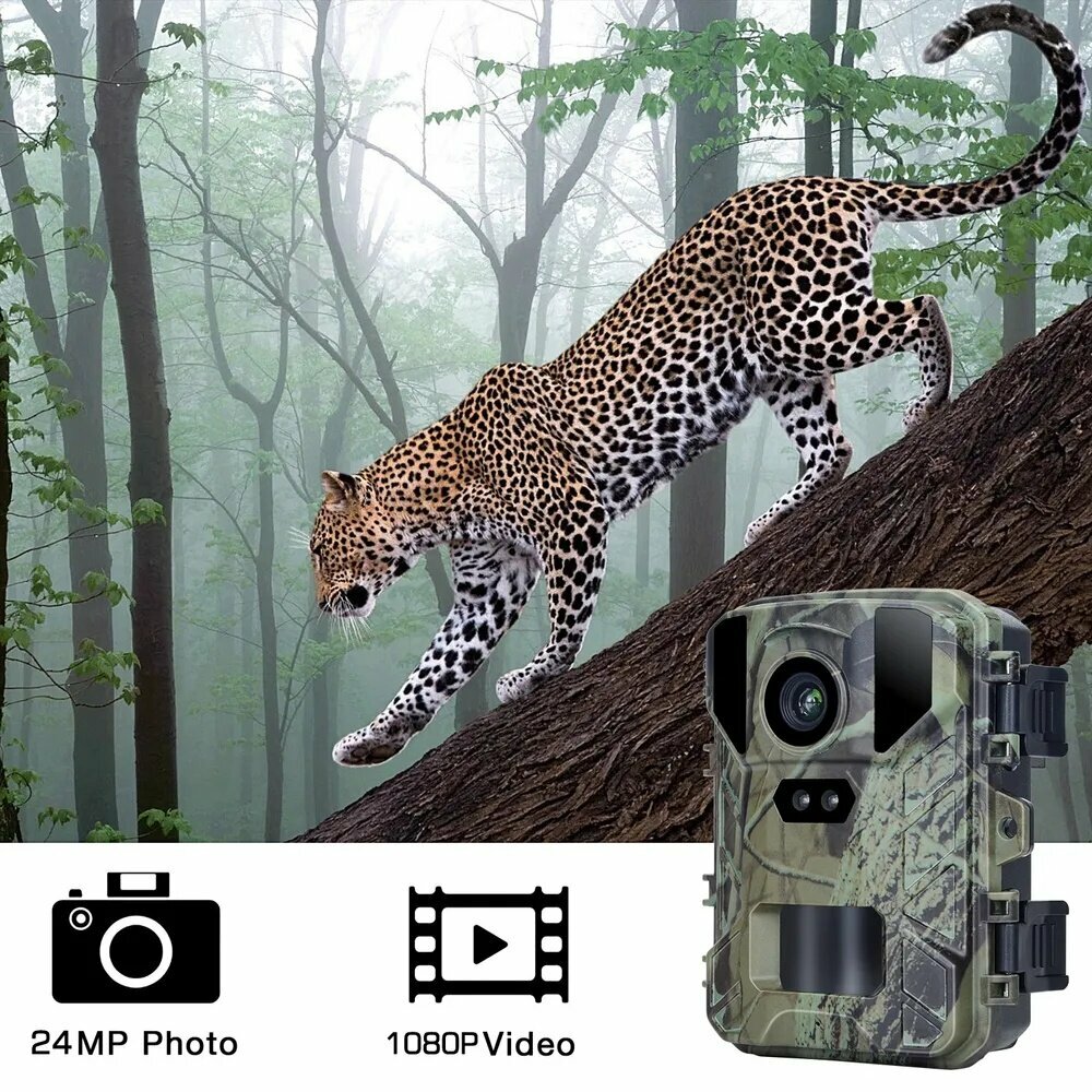 Фотоловушка
