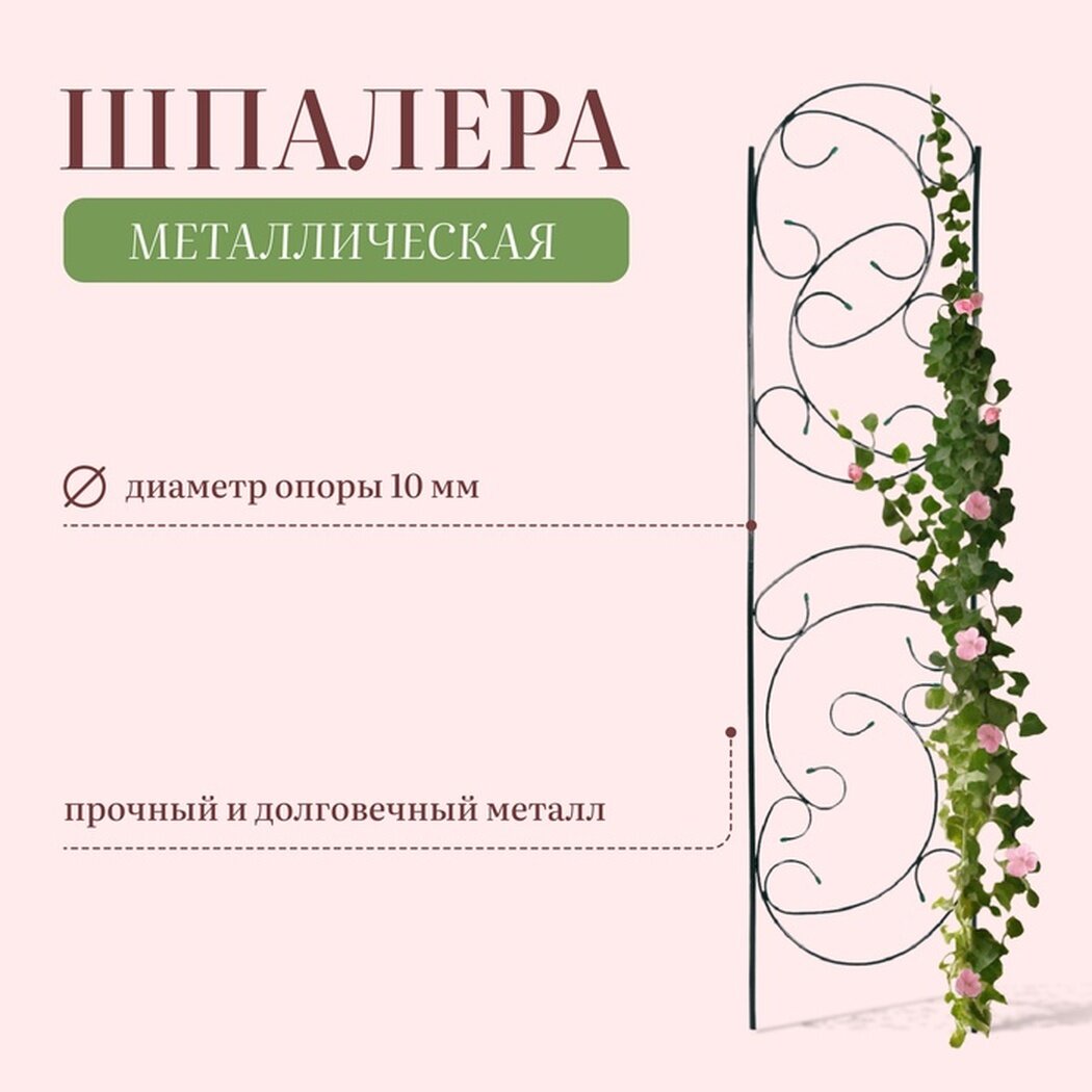 Шпалера Сима-ленд «Эска», для вьющихся растений, металл, 217×55×1 см