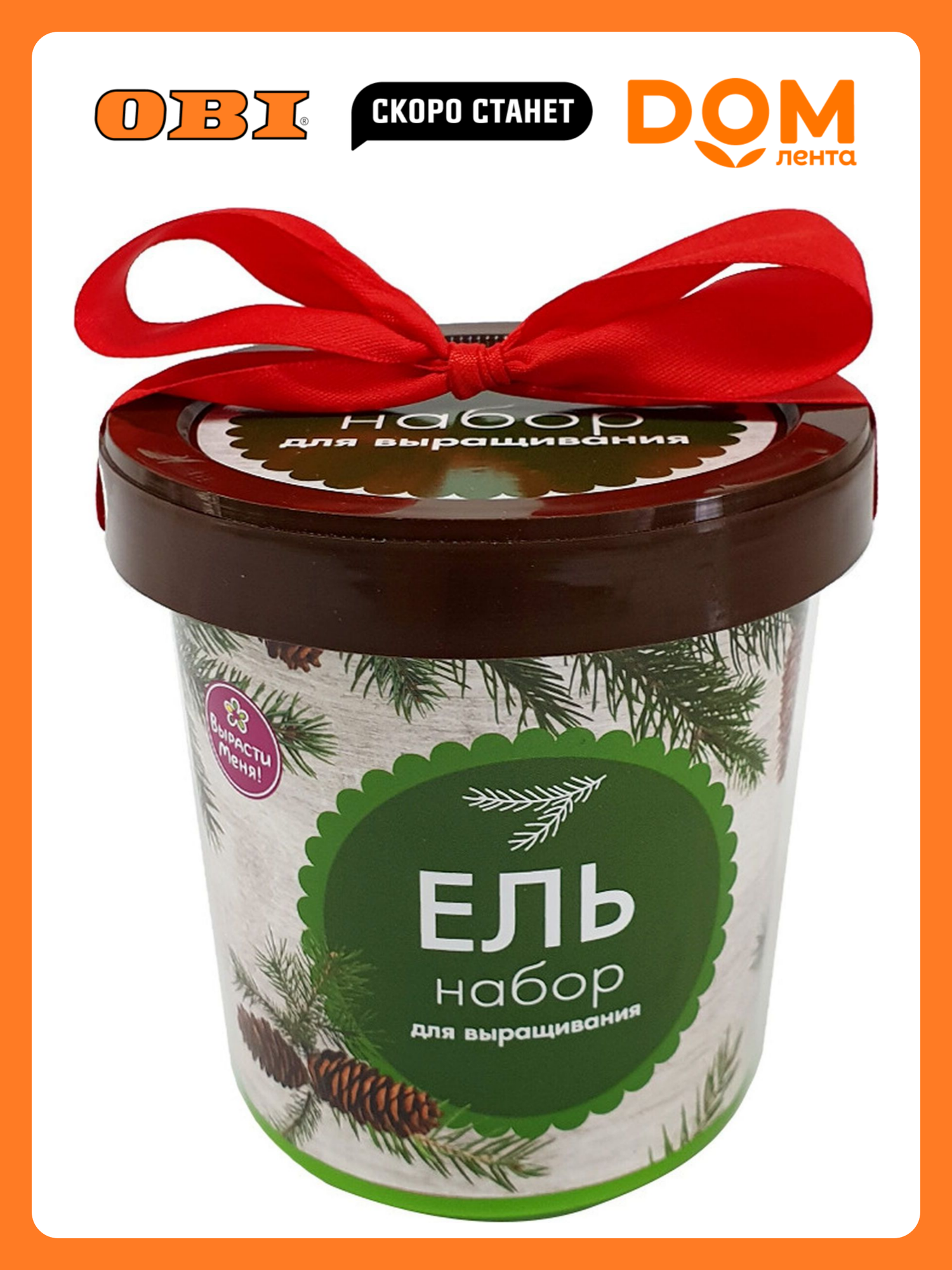 Набор для выращивания Happy Plant "Ель", ботаника, зеленый, коричневый