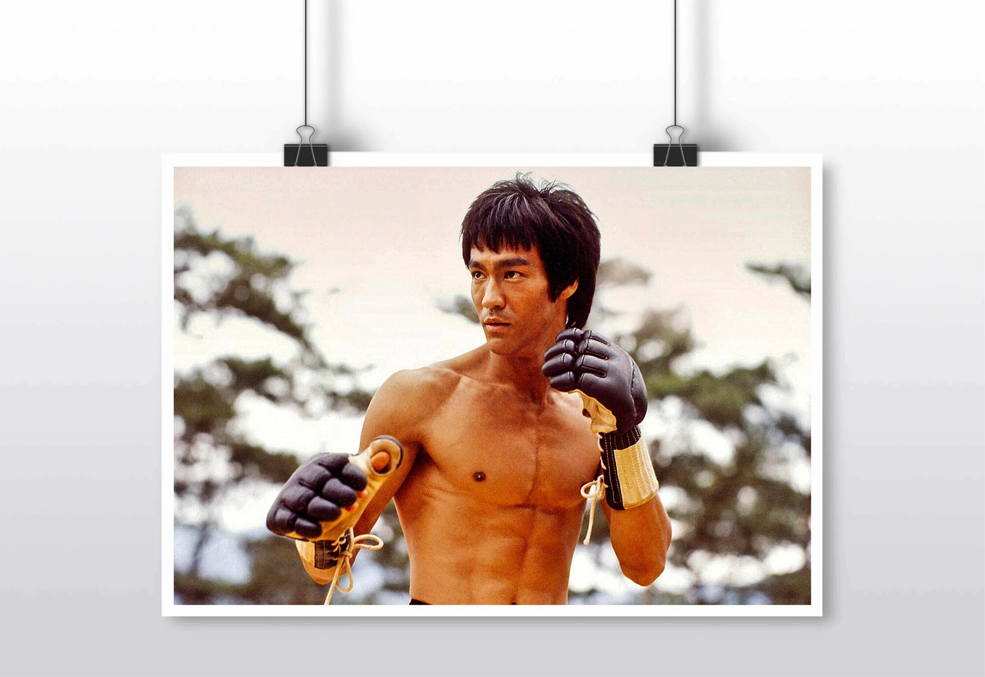 Плакат А4 принт Брюс Ли - 6-0002