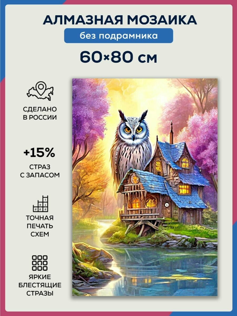 Алмазная мозаика 60x80 Сова и дом без подрамника