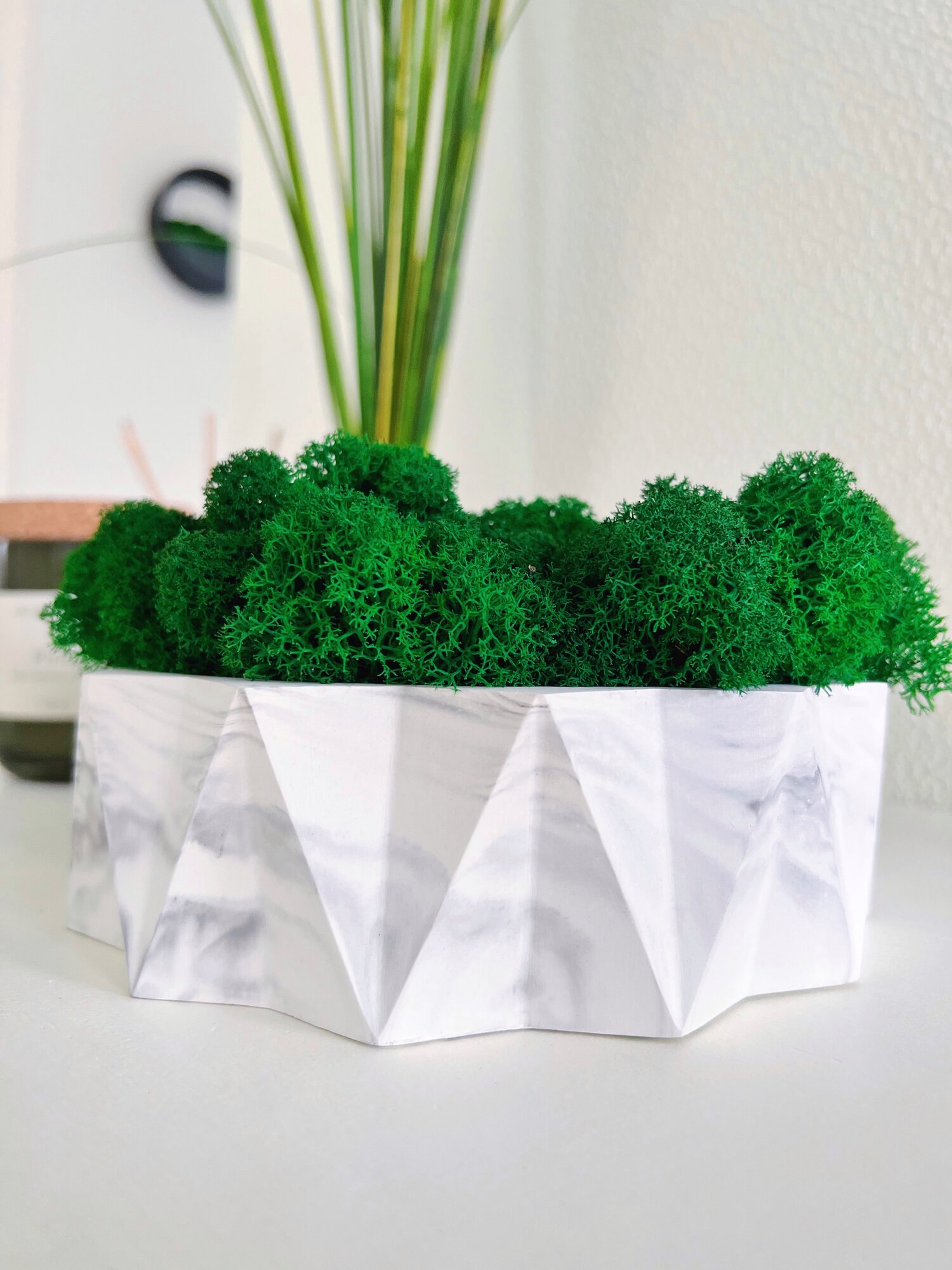 Кашпо со стабилизированным мхом Molecula Decor