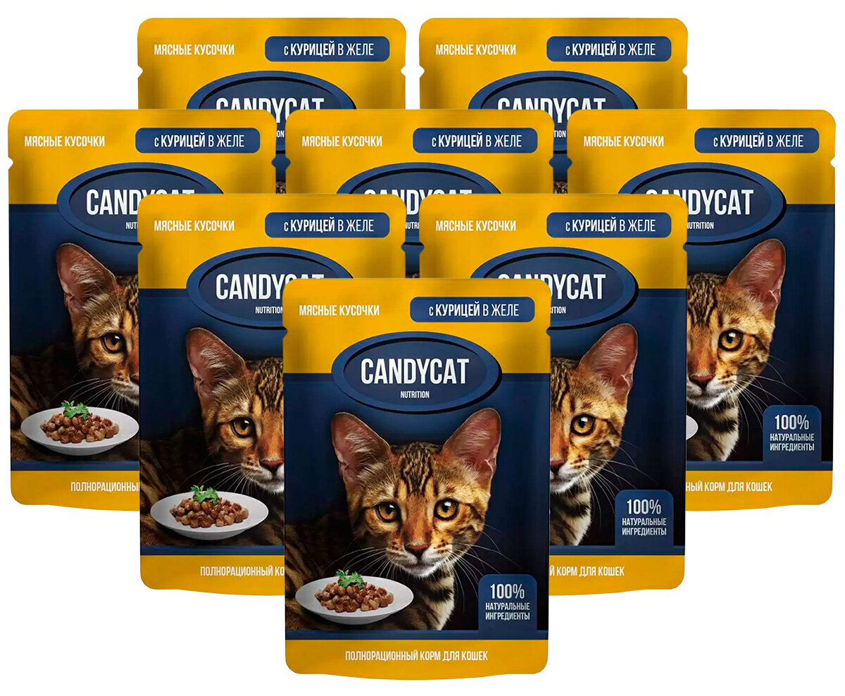 CANDYCAT для взрослых кошек с курицей в желе 85 гр пауч 85 гр х 8 шт