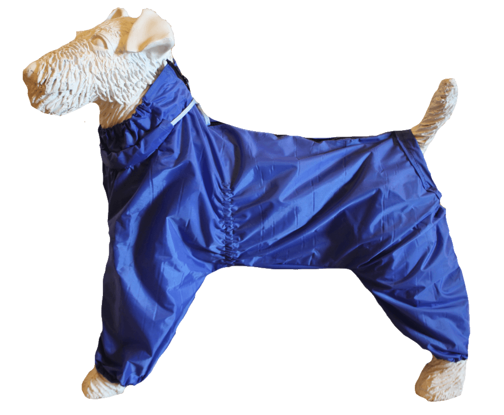 Дождевик-комбинезон для шарпея кобеля, повышенной прочности, цвет василек
