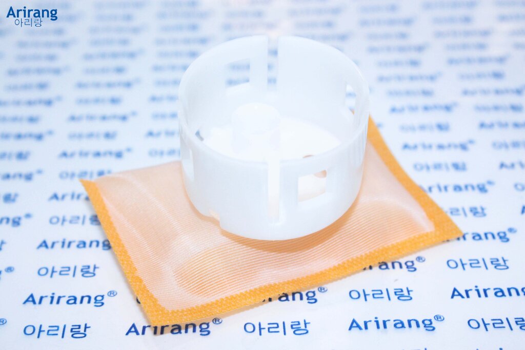 Фильтр бензонасоса Arirang CT45