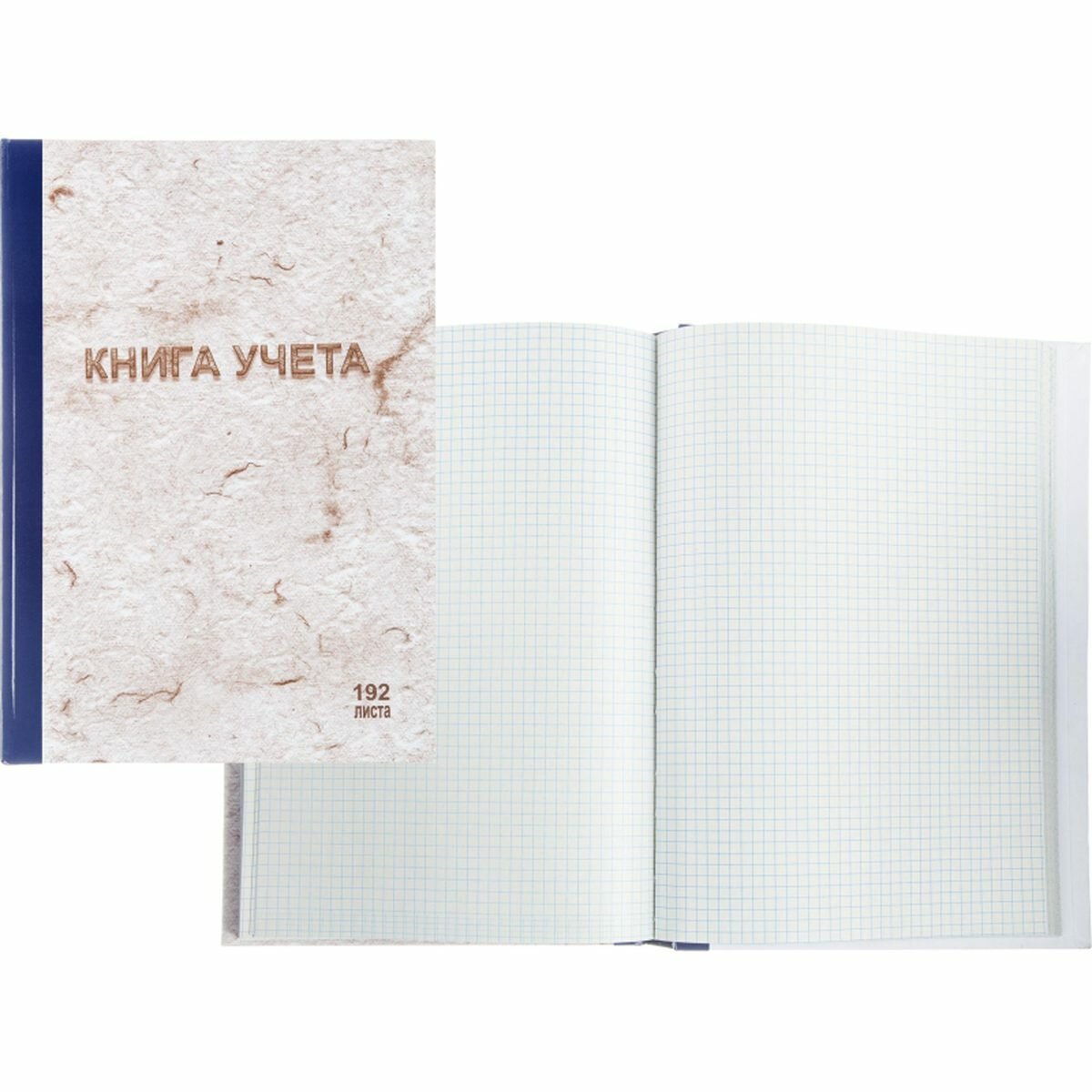 Бухгалтерская книга учета Attache (A4, 192л, клетка, типографский блок, сшивка) обложка картон, 5шт.