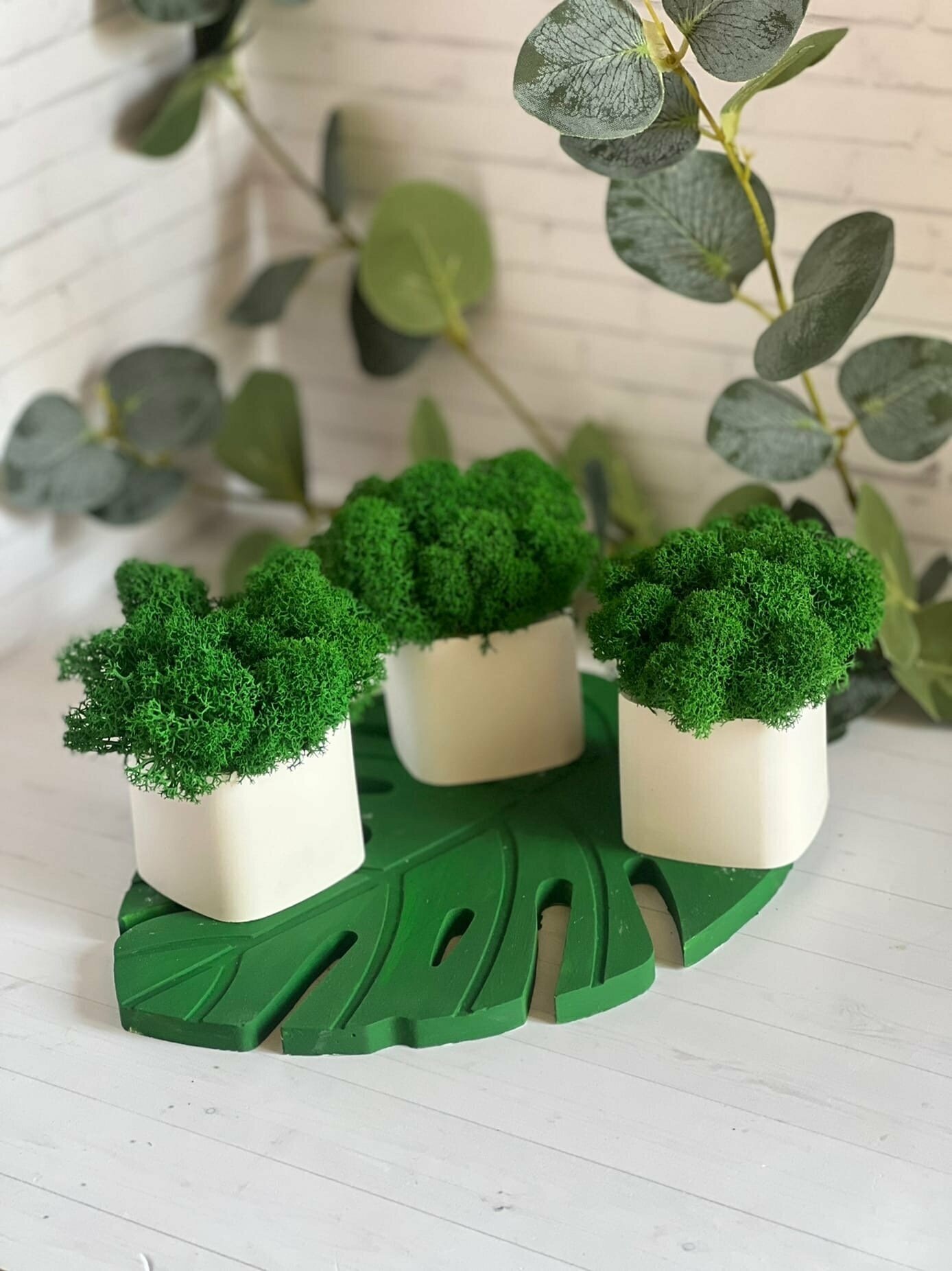 Кашпо мини со стабилизированным мхом, набор кашпо 3 шт, декоративное кашпо, интерьерное кашпо, гипсовый декор, подарочный набор