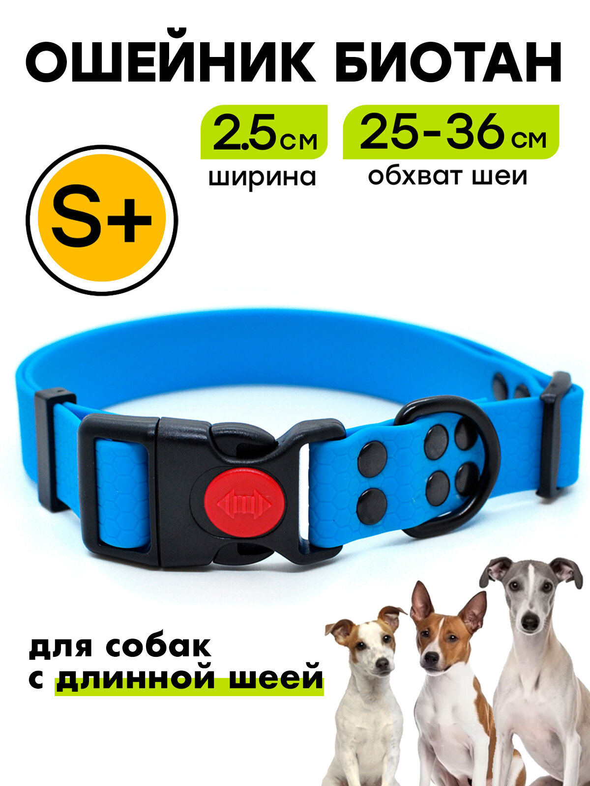 Ошейник из биотана 25-36 см (S+), 25 мм, Woofy "Iron", водостойкий, для небольших и средних собак, голубой