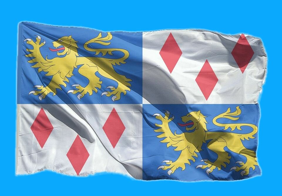 Флаг Королевства Ривия из Ведьмака 90х135 см на шёлке для ручного древка