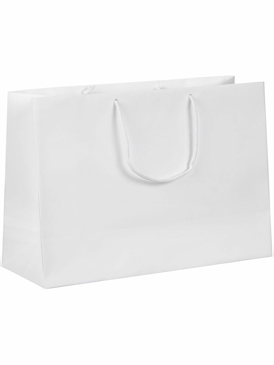 Подарочный пакет праздничный бумажный, упаковка подарка 35х24х12 Ample Plus M, белый