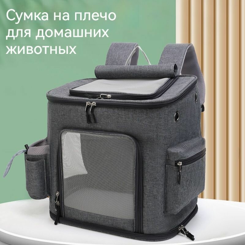 Автобокс для животных