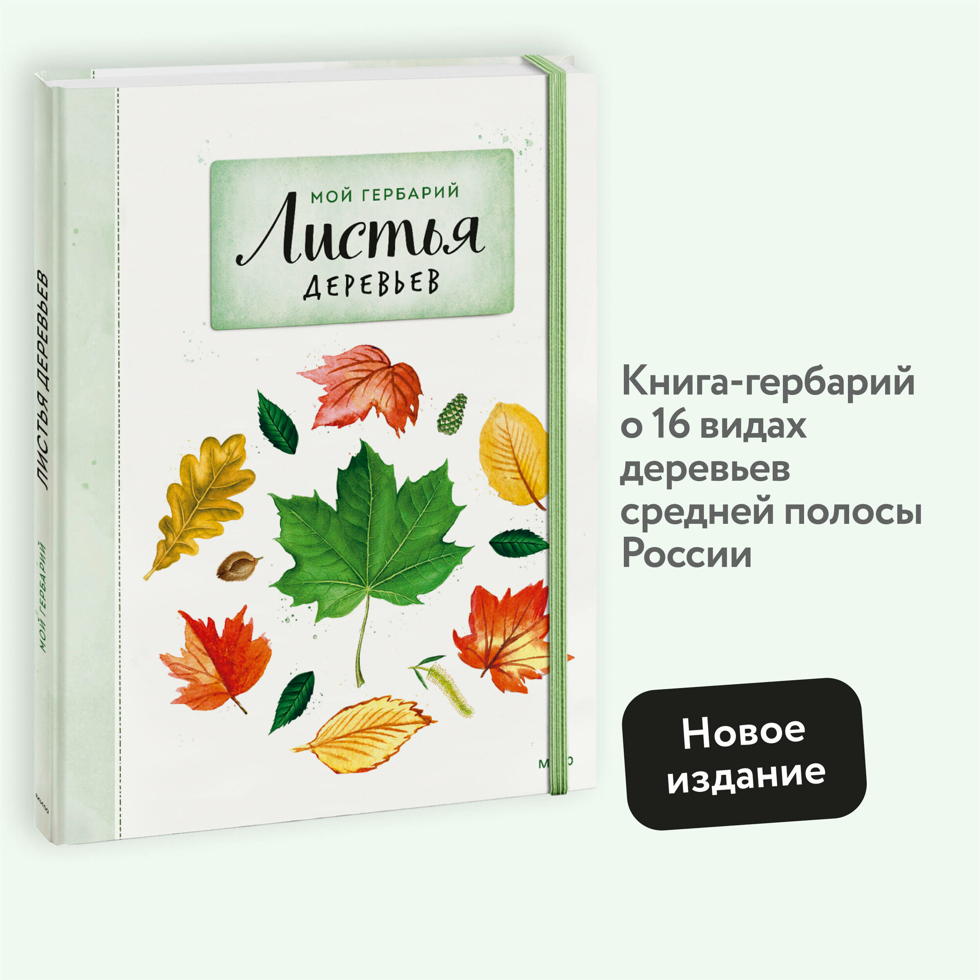 Анна Васильева. Мой гербарий. Листья деревьев(переупак)