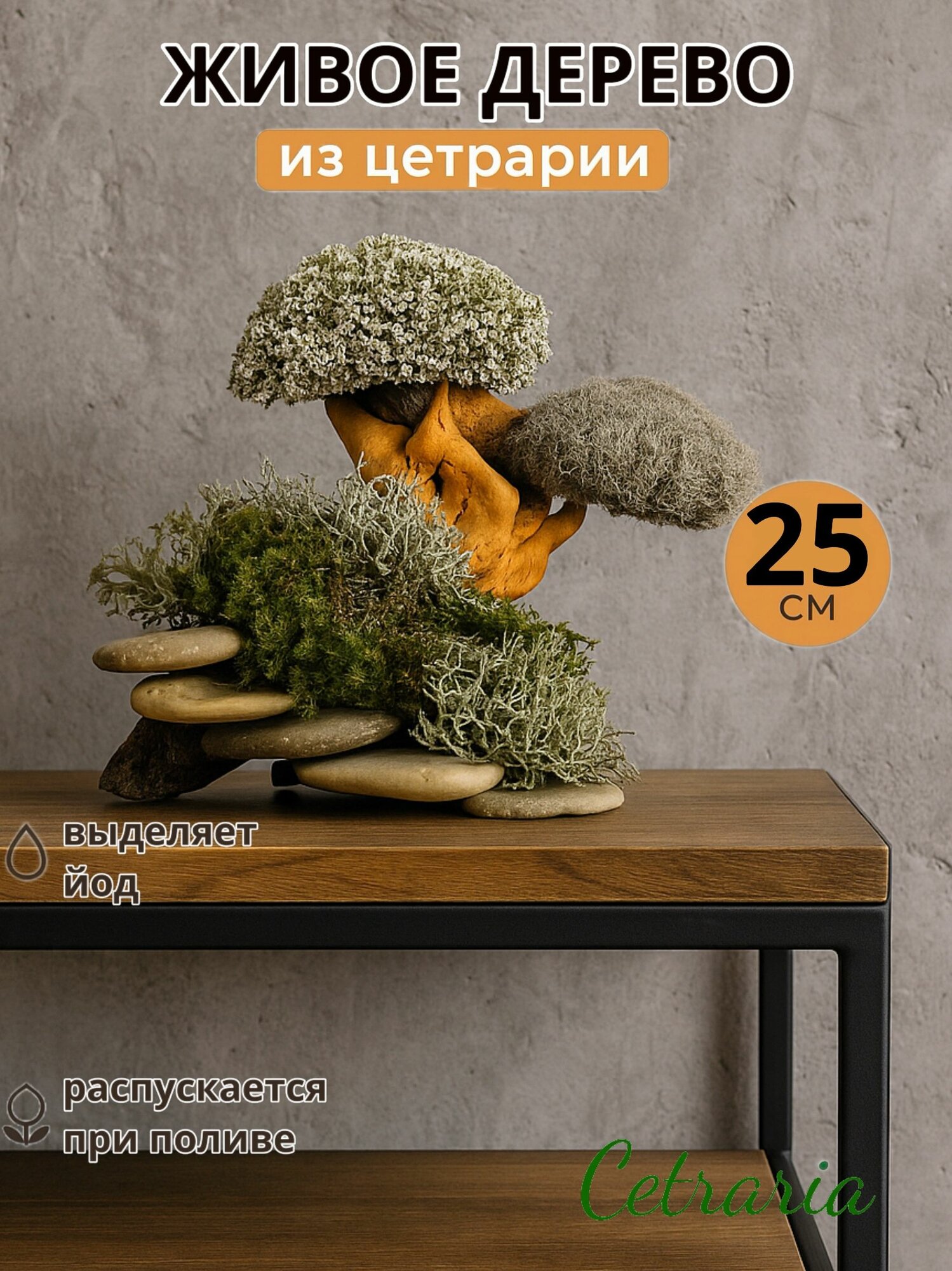 Декоративное настольное дерево из цетрарии на камнях для интерьера