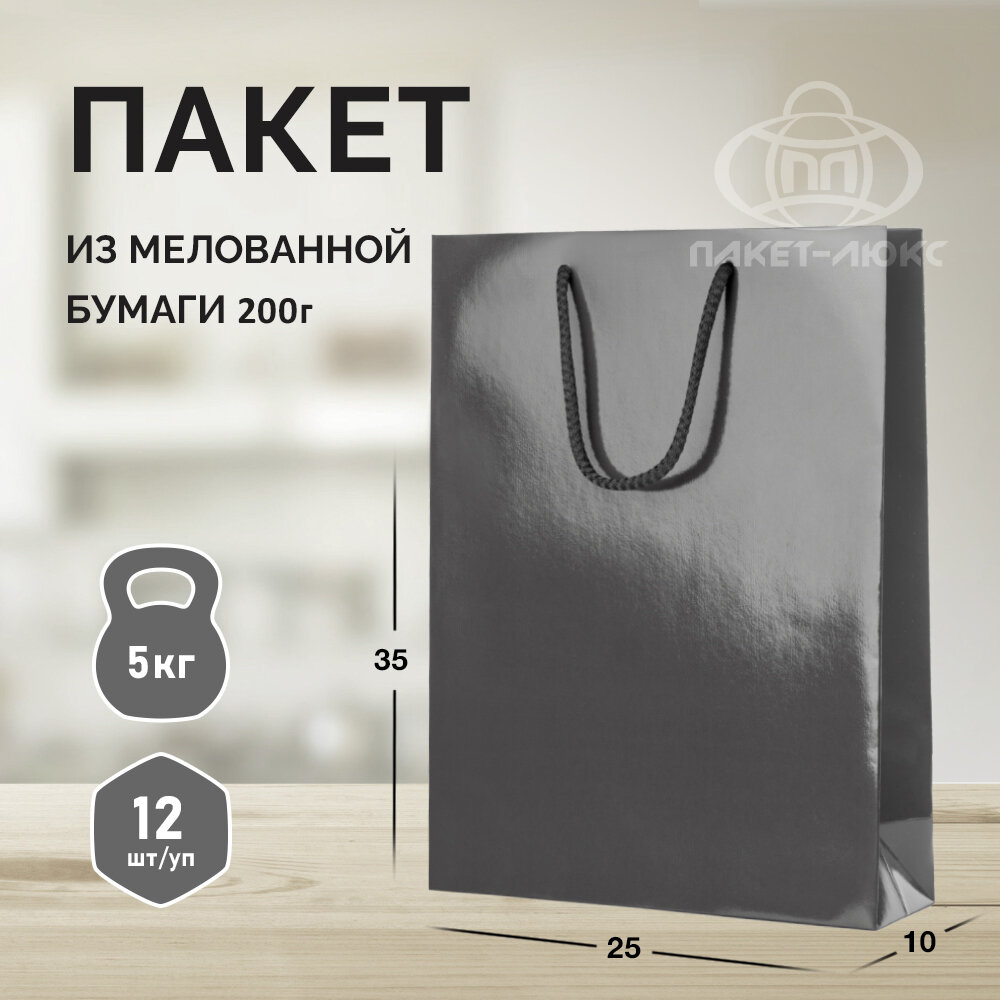 12 бумажных подарочных пакетов 25*35*10 см, ламинированный, серый глянцевый, вертикальный