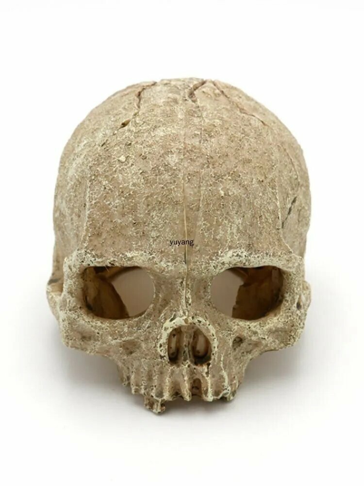 Декорация для аквариума и террариума Череп Грот