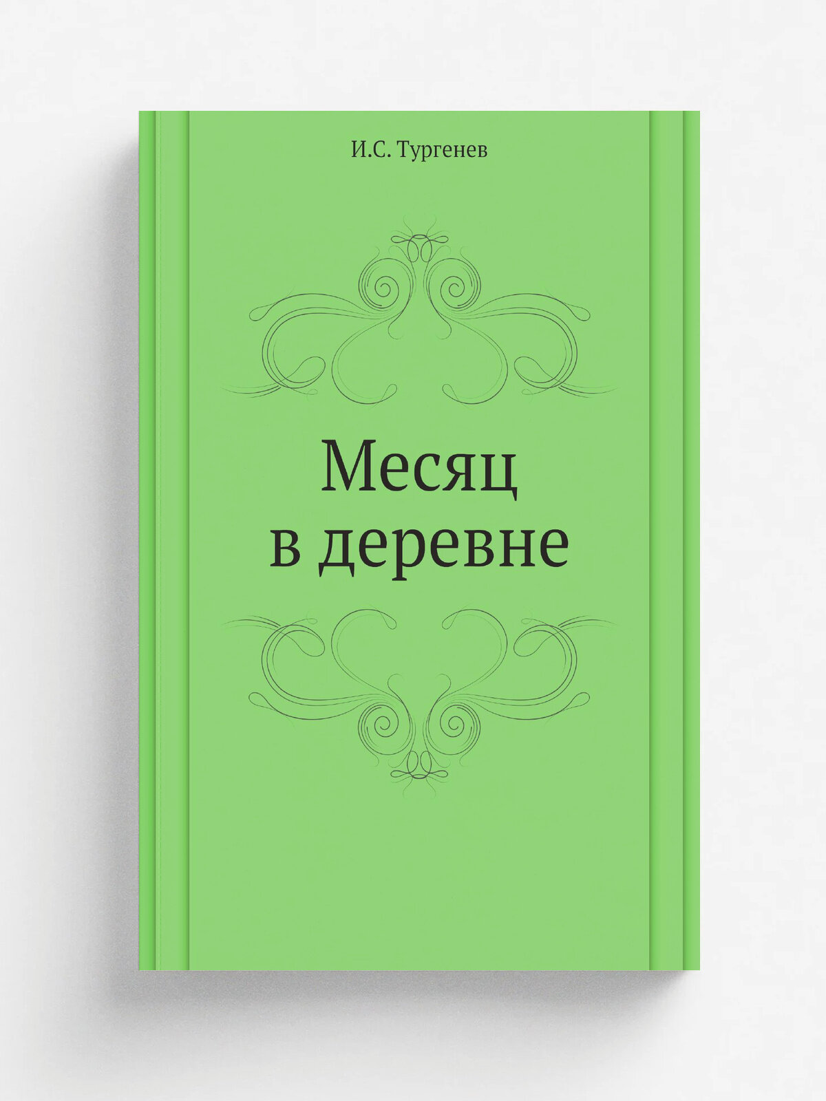 Месяц в деревне