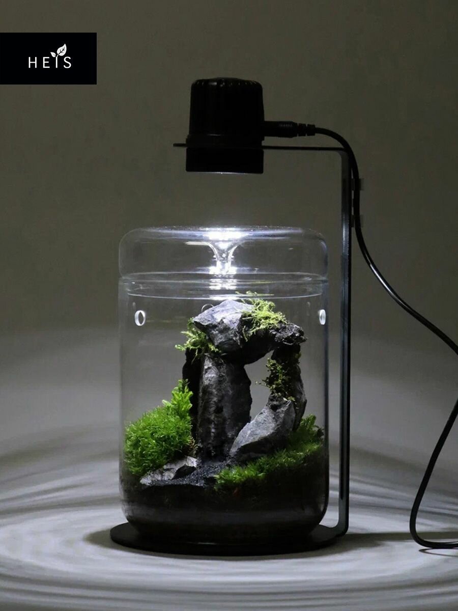 Флорариум HEIS стеклянный / Stone Gardener: path