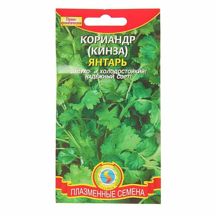 Семена Кориандр (кинза) «Янтарь», 2 г, «Плазмас»