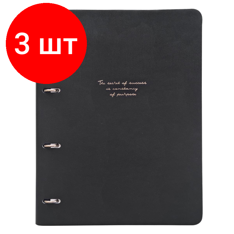 Комплект 3 штук, Тетрадь со сменным блоком А4.120л, Infolio Study, Quote, иск. кож, черный, N3823