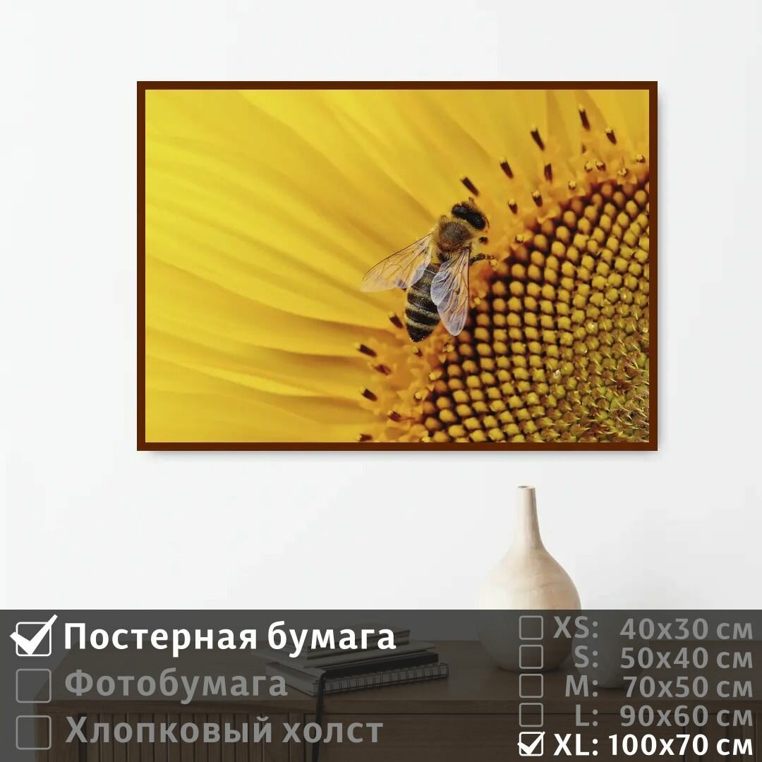 Постер на стену Пчела В Подсолнухе 100х70 см ПолиЦентр