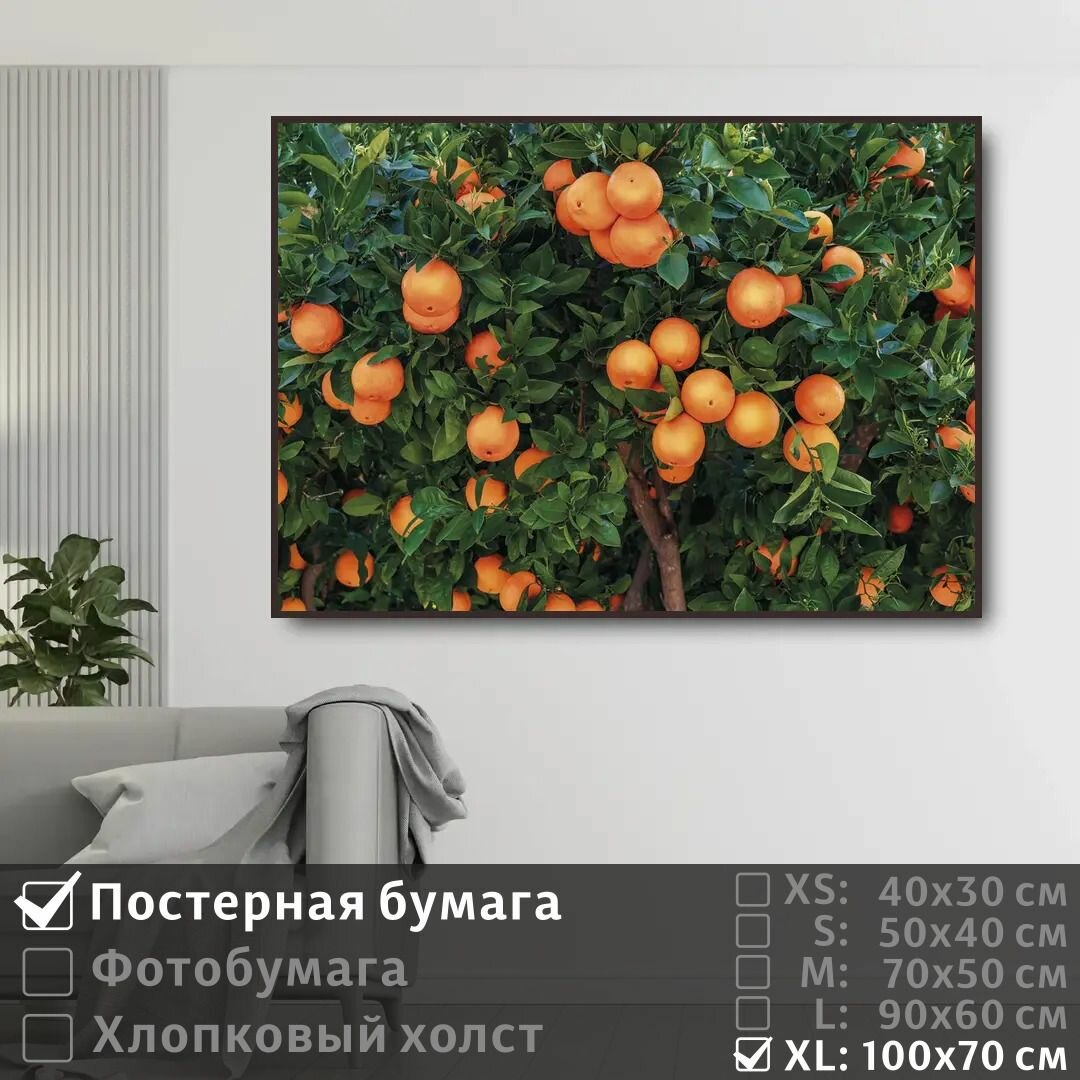 Постер на стену Испанские Апельсины 100х70 см ПолиЦентр