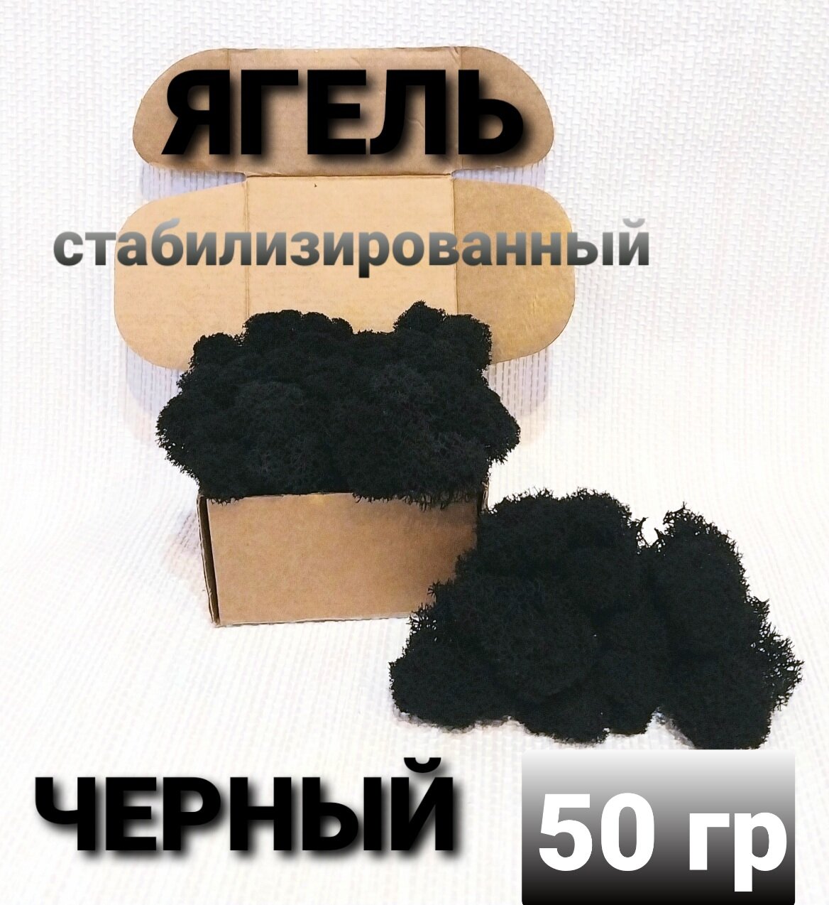 Мох (ягель) стабилизированный черный 50 гр