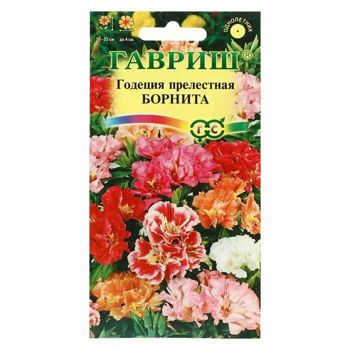 Годеция Борнита низкая смесь (Гавриш)