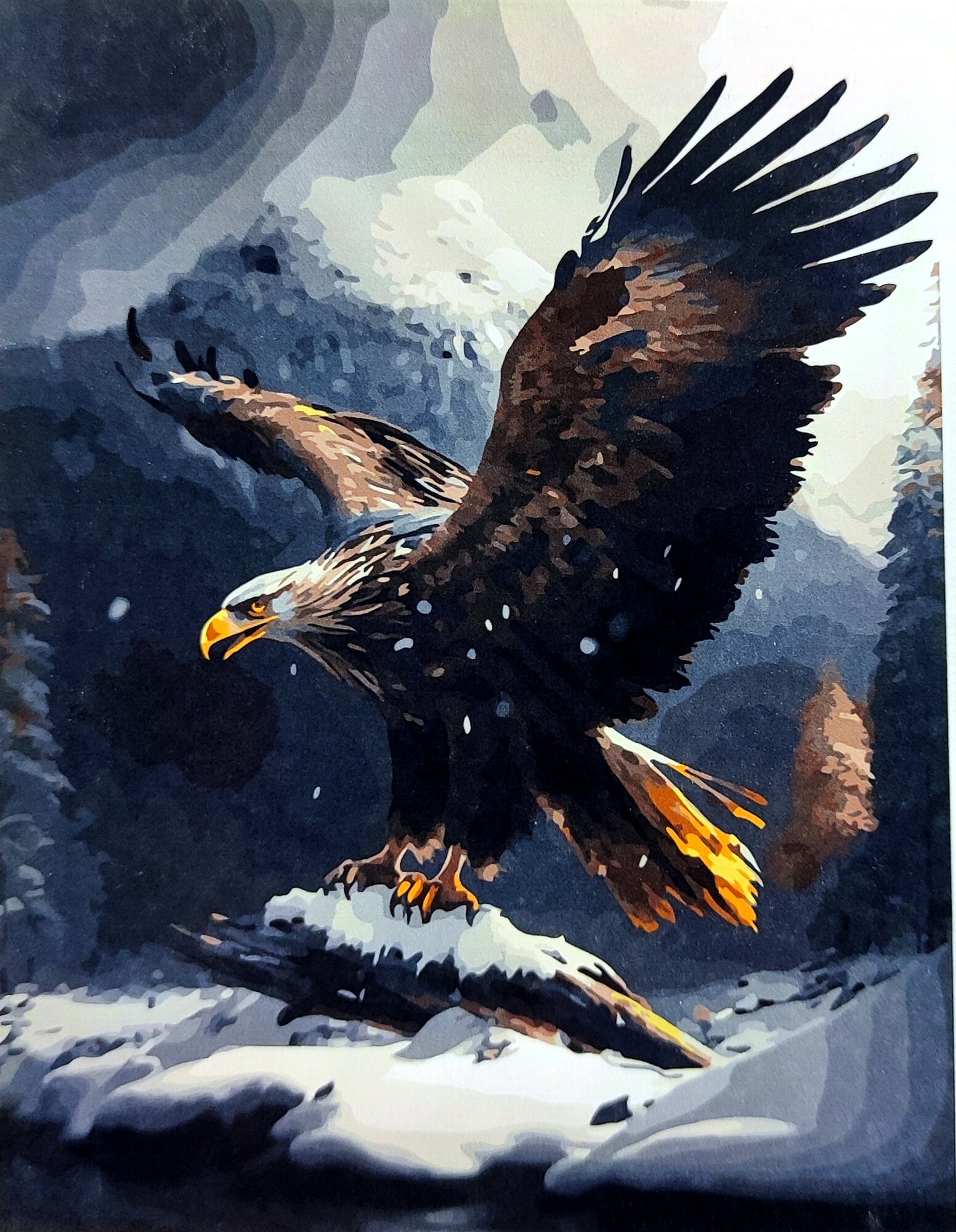 Картина по номерам 40x50 "Орел" сокол, птицы, ястреб, какаду, ара, тропики, джунгли