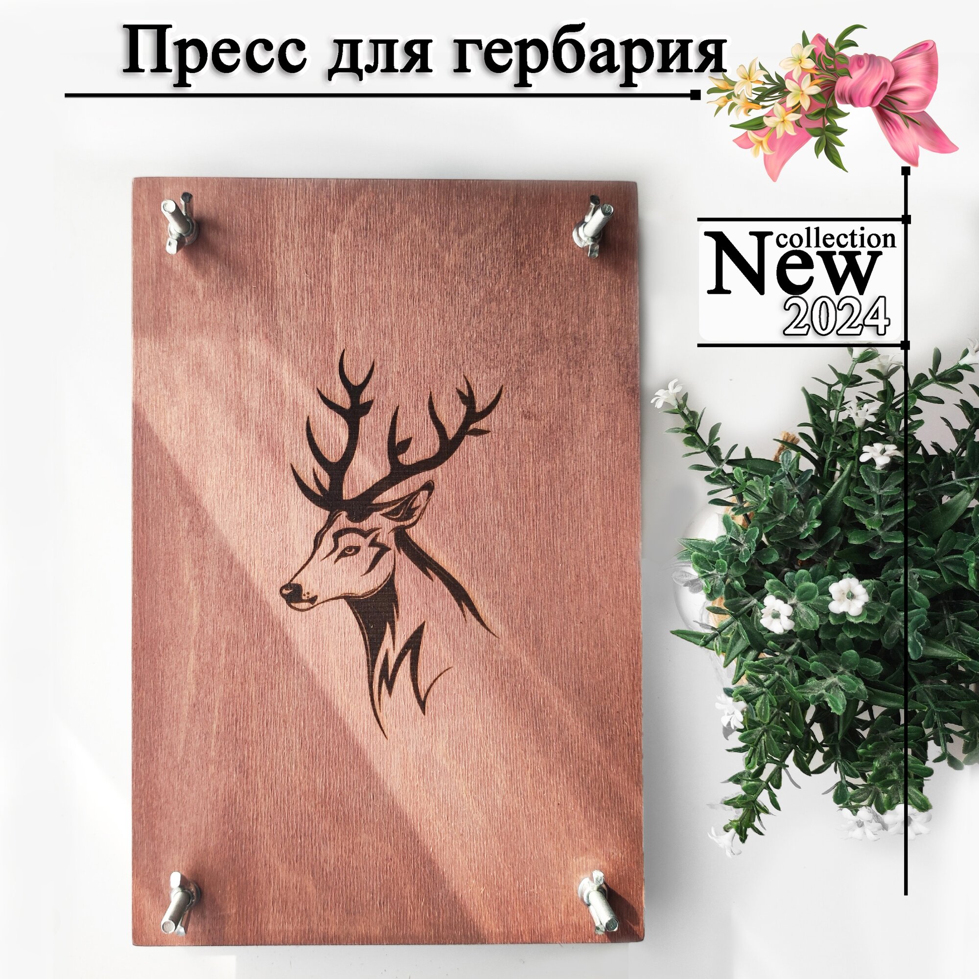 Пресс для гербария а4